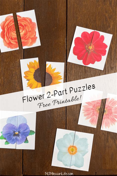 Flower 2 Part Puzzles — Free Printable Momtessori Life