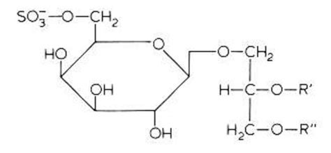 Structure Of Glycolipids Download Scientific Diagram