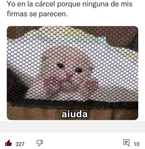 Rata Aprieta El Puño De La Rabia