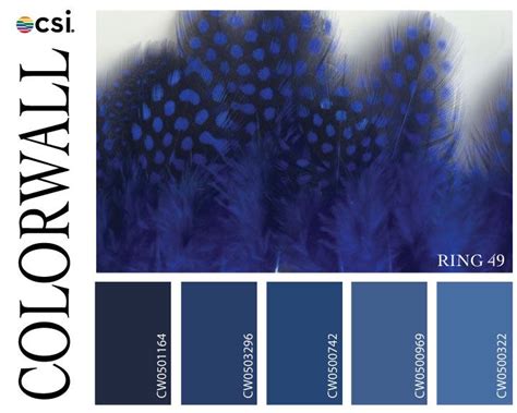 Indigo Blue Color Codes The Hex Rgb And Cmyk Values