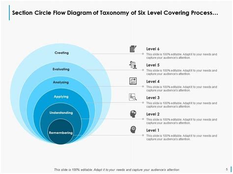 Taxonomy Support And Operation Marketing Development Finance Analysing Evaluating Presentation