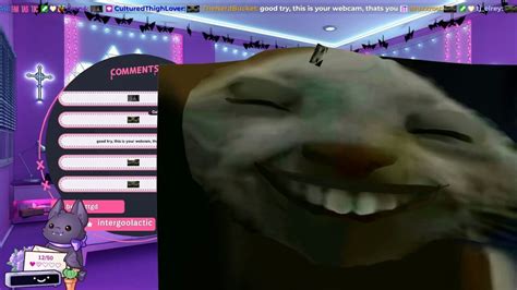 Kittys Model If She Were A Vtuber Rkiittens