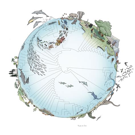 Circle Of Life Brenda De Groot
