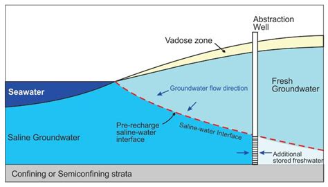 Salinity Barriers To Manage Saltwater Intrusion In Coastal Zone