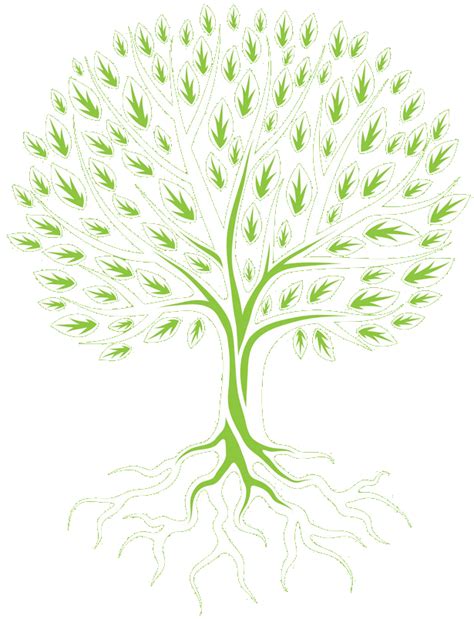 Species And Wetlands Mass Conservation