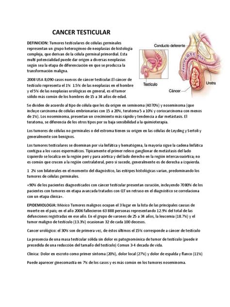 Cancer Testicular Pdf Cáncer Metástasis