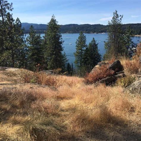 Tubbs Hill Main Trail Hiking Trail Maps Difficulty Trail Status Onx