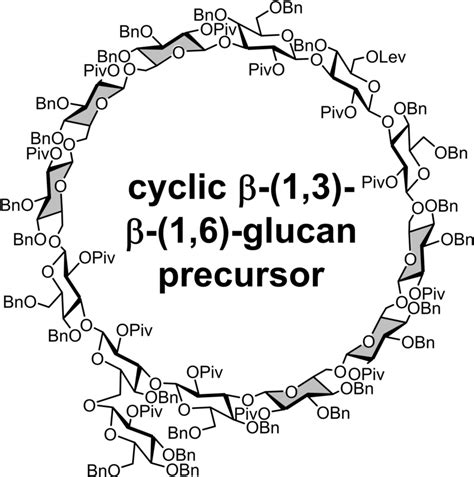 β‐16‐glucan Trisaccharide As A Partial Structure Of The Cyclic