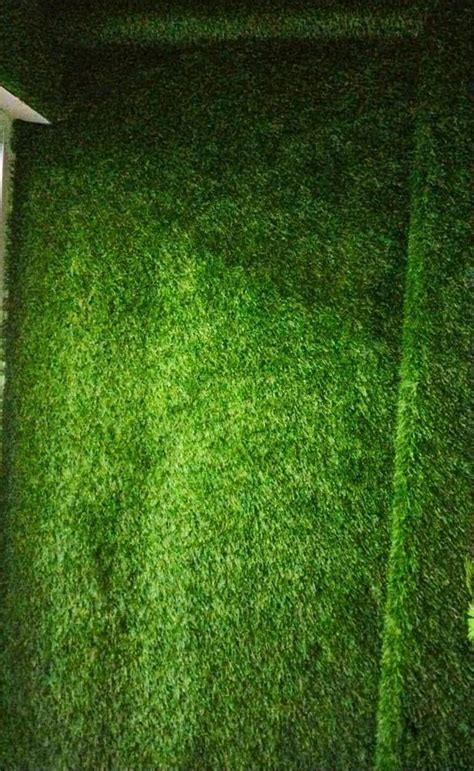 Artificial Grass Carpet At Rs 30sq Ft Artificial Grass Carpet In