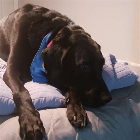 Devon Powell Youtube