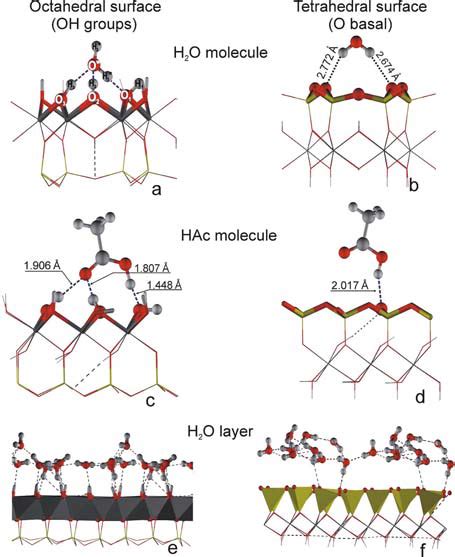 Models For The Surface Interactions Of Kaolinite In Case A Atomic