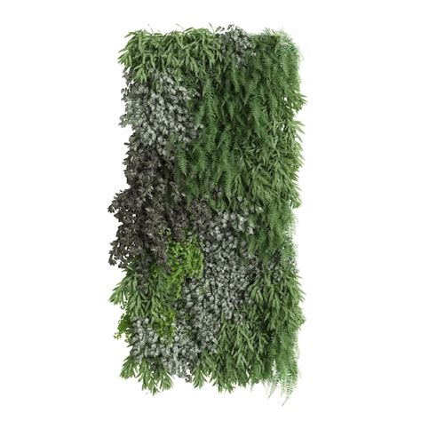 Premium Photo 3d Illustration Of Wall Tree Isolated On White Background