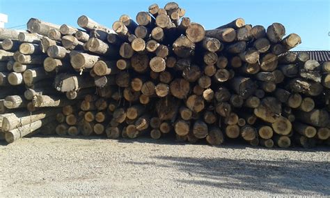 Cherestea De Cer Plop Euroamerican Gorun Tei • Lemnsupermarketro