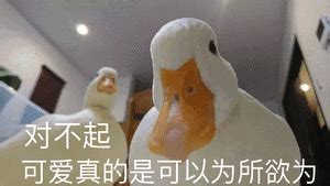 阿珍你来真的啊无水印表情包，阿珍你来真的啊无水印图片，阿珍你来真的啊微信表情包，阿珍你来真的啊qq表情包 Diy斗图