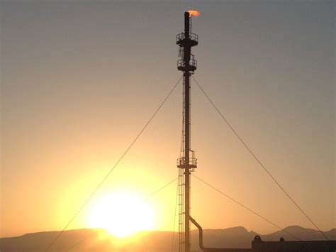 Hoda Mohamed Hoda Egy8 Twitter