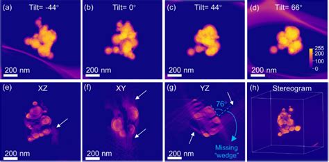 Single Tilt Tomography Holders Chipnovatem In Situ Solutionssem In Situ Solutions