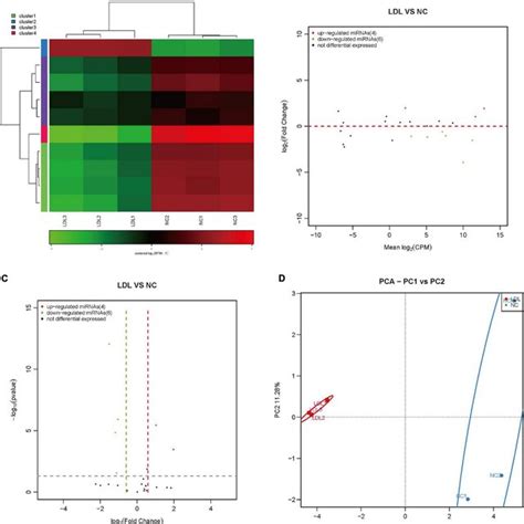 Long Non Coding Rna Biogenesis And Functions Long Non Coding Rnas