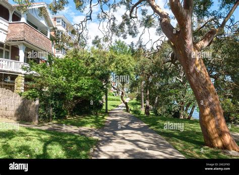 The Path On The Western Side Of The Cremorne Point Foreshore Walk In