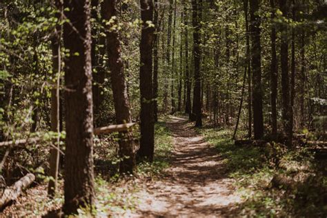 Embrace The Outdoor Joys Of Summer In Deep River Come Wander