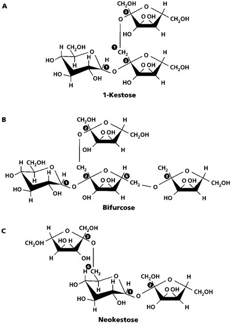 Some Examples Of Structurally Different Fructan Molecules Found In
