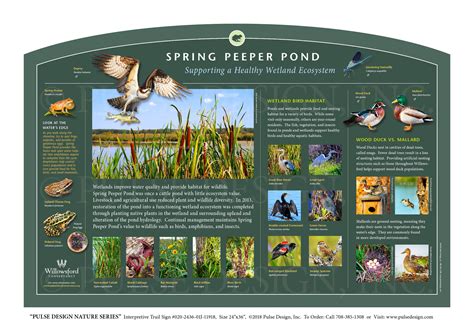 Outdoor Interpretive Signs Water And Wetland Habitat Ecosystem Conservation — Pulse Design Outdoor