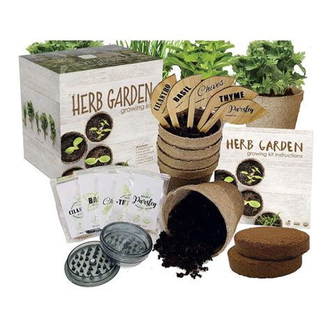 Herb Grow Kit Support Customised Wholesale Hantechn