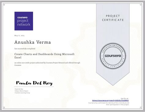 excel datavisualization coursera learningjourney anushka verma