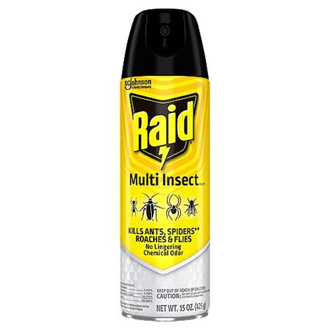 Raid Multi Insect Killer 7 Indoor And Outdoor Insecticide Spray For