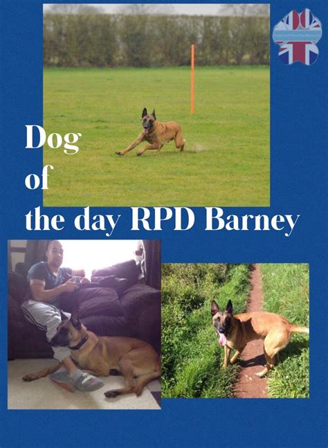 Rip Barney Stationed At Ministry Of Defence Police