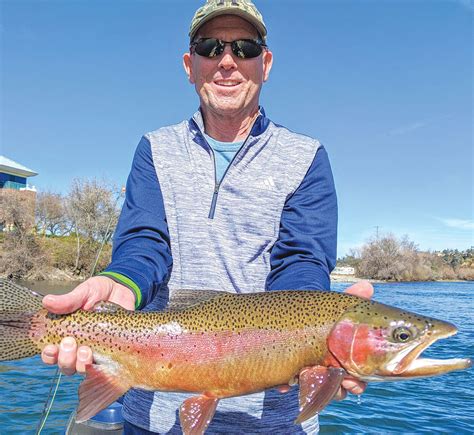Tips For Success On The Lower Sacramento California Fly Fisher