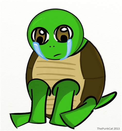 Sad Turtle Clipart Pictures