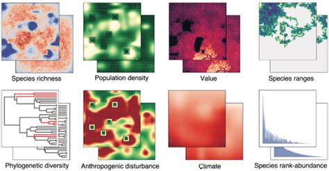 Captain Conservation Area Prioritization Through Artificial Intelligence Viromii