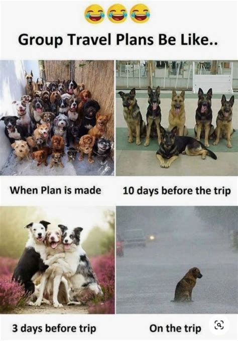 40 Hilarious Travel Memes You Need To See