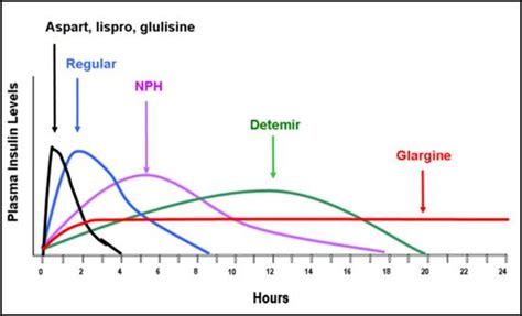 Insulin Therapy ~ Diabetes Mellitus