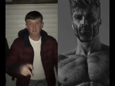Average Enjoyer Vs Average Fan Average Fan Vs Average Enjoyer Know