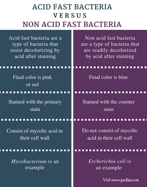 Difference Between Acid Fast And Non Acid Fast Bacteria Definition