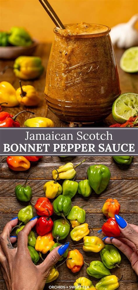 Jamaican Scotch Bonnet Pepper Sauce Recipe West Indian Pepper Sauce