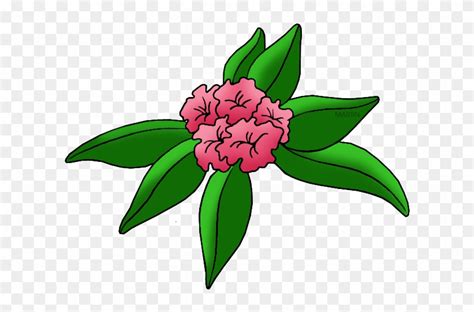 United States Clip Art By Phillip Martin State Flower State Flower