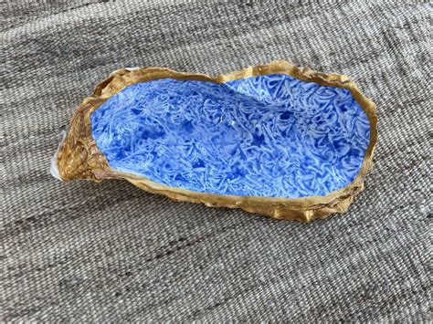 Extra Large Oyster Shells Oystera Uk