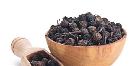 Cubeb Pepper The Indonesian Black Pepper Spiceography
