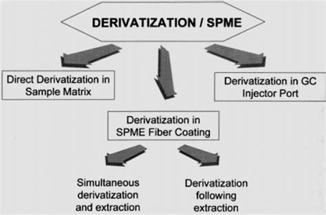 Derivatization Techniques Used In Solid Phase Microextraction 6163