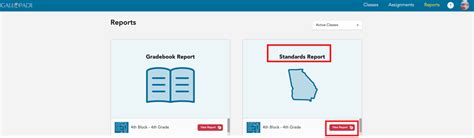 The Standards Report