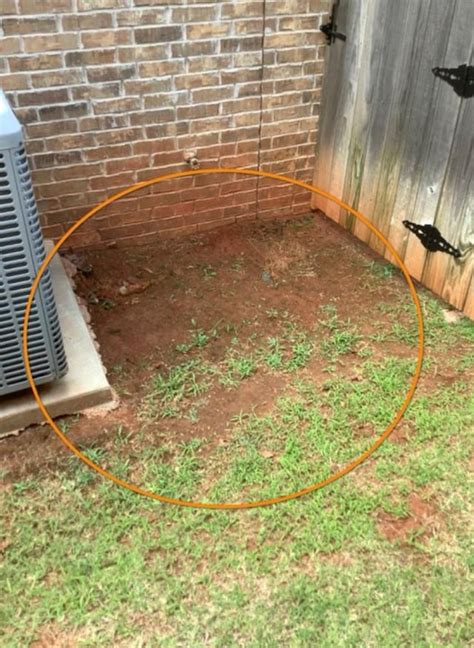 Costs Negative Drainage By Foundation Rlandscaping