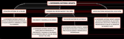 Fundamentos Y Metas De La Enfermería Materno Infantil Algor Cards