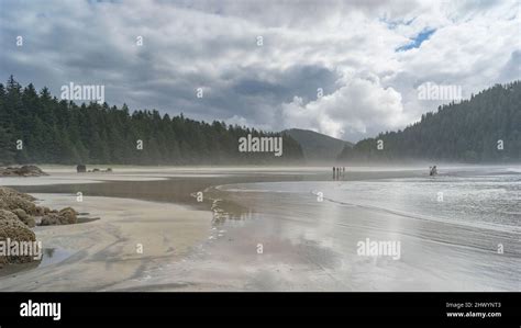 Tourists Strolling Along Shoreline In Cape Scott Provincial Park San