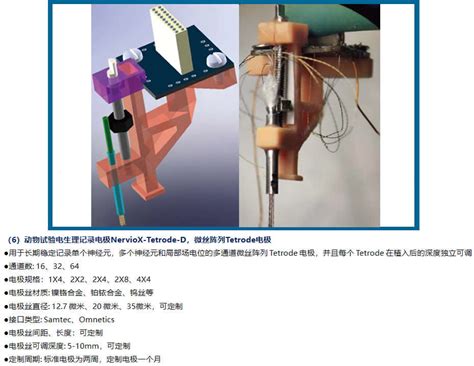 Nerviox Tetrode D，微丝阵列tetrode电极 报价 价格 性能参数 图 穹顶科技 生物器材网