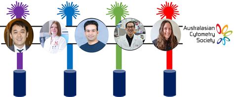 A Guide To Flow Cytometry Biotechniques