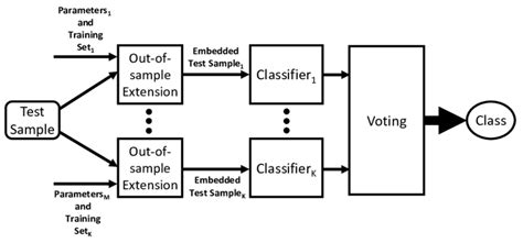 Classification Process Of A Test Sample Download Scientific Diagram