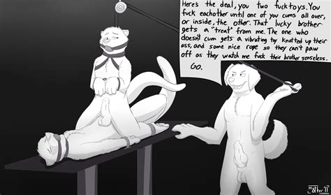 Rule 34 2011 Anal Anal Sex Anthro Bondage Bound Brothers Canine