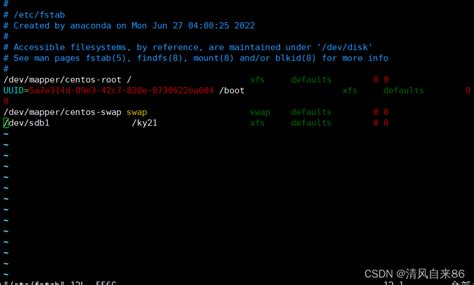 Linux的磁盘管理和文件系统使用lsblk和df命令验证分区和文件系统的创建 Csdn博客